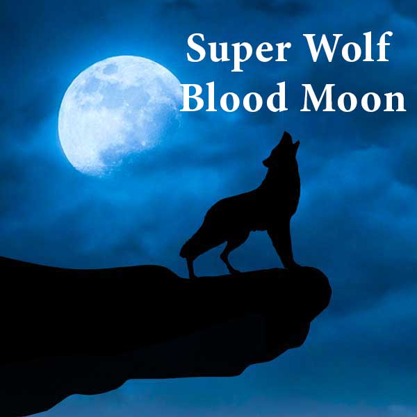 Super Wolf Blood Moon Meditation - Center for Creative Consciousness